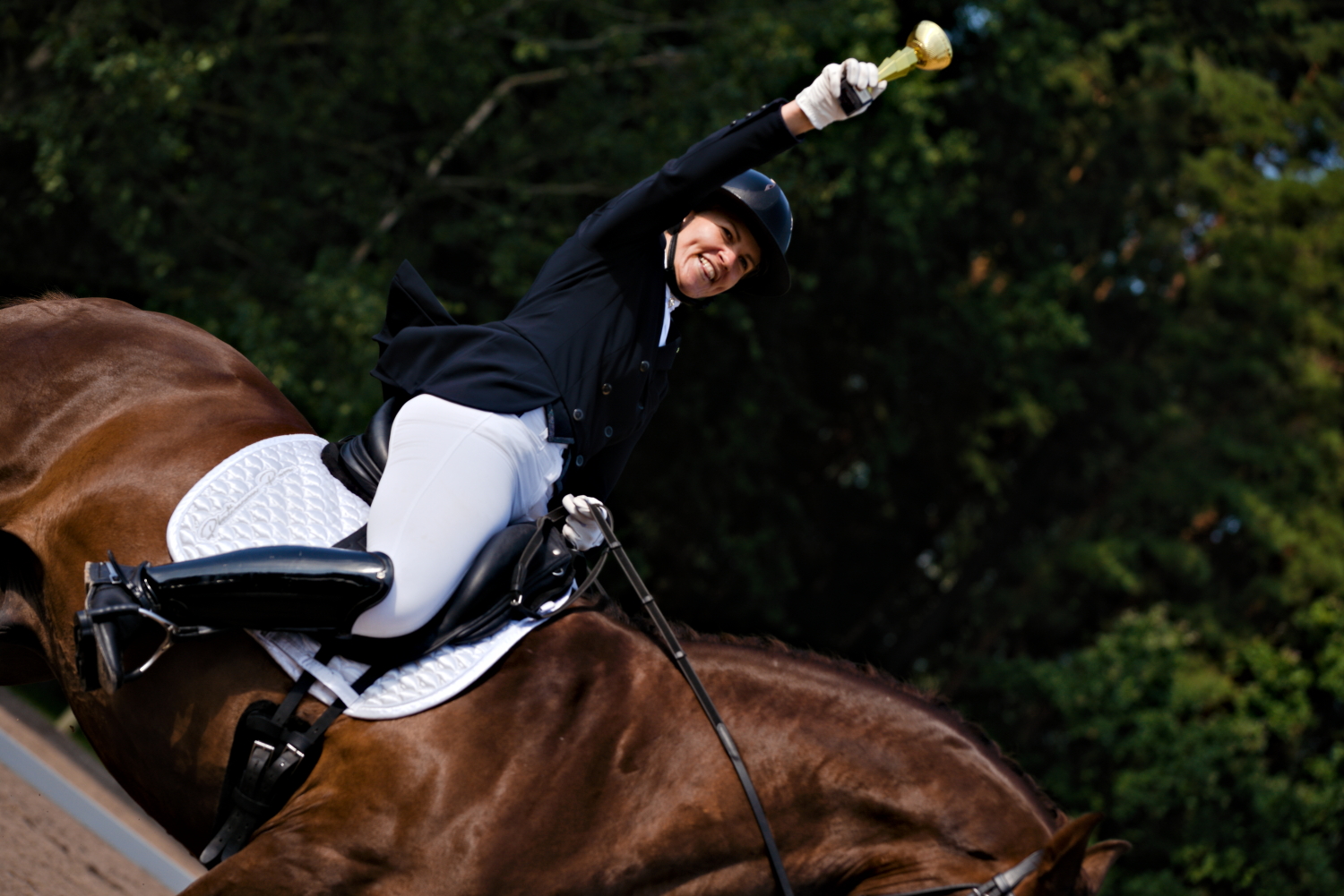 LJF-9-08-2025 | Failiem.lv.